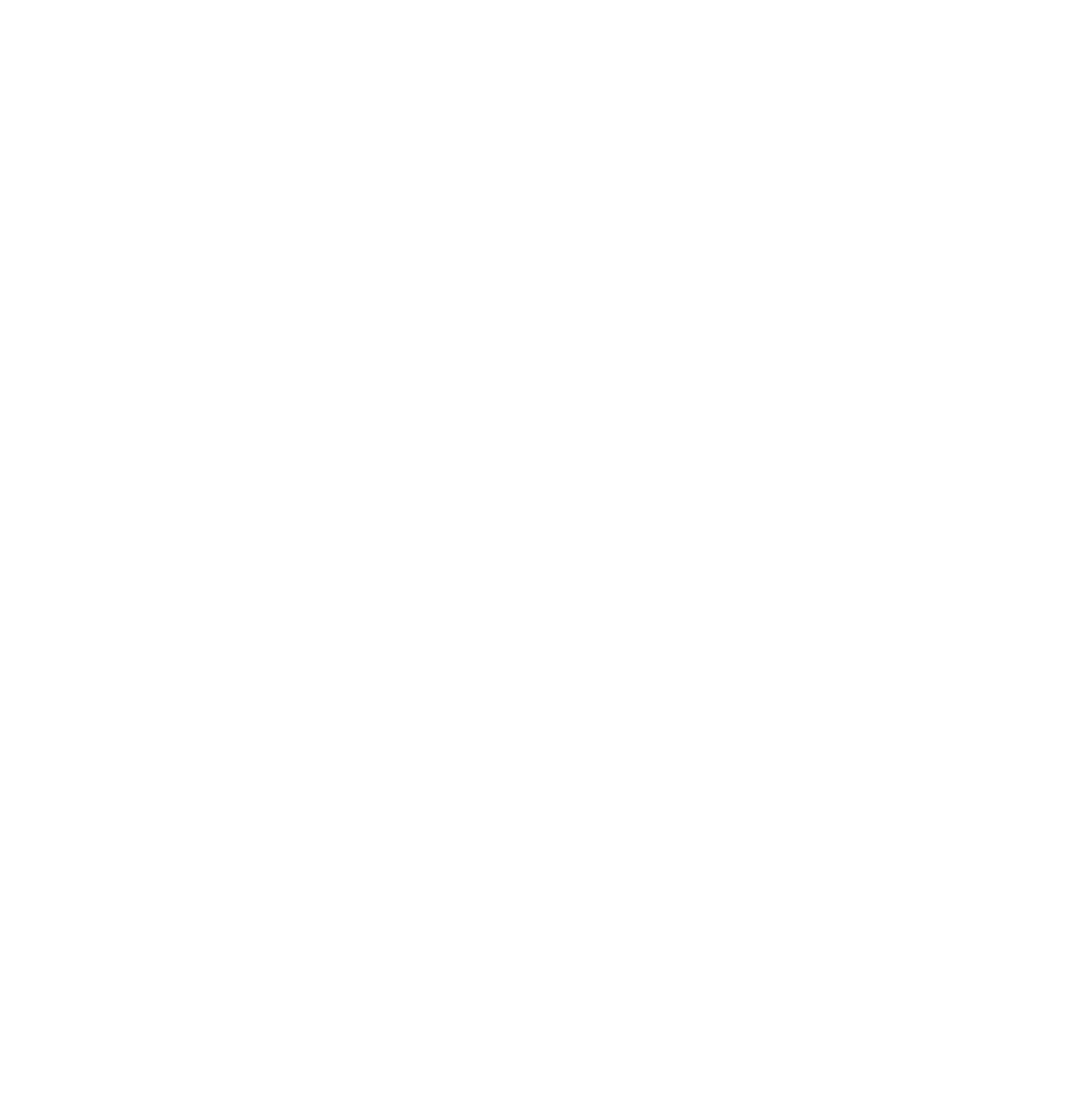 The Hanna Neumann Fellows 2025 – MATH+