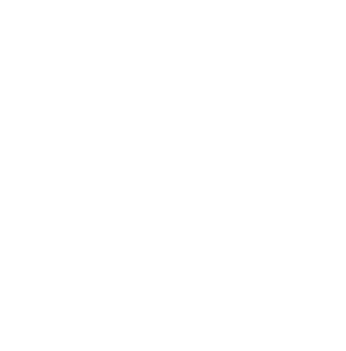 The Hanna Neumann Fellows 2025 – MATH+