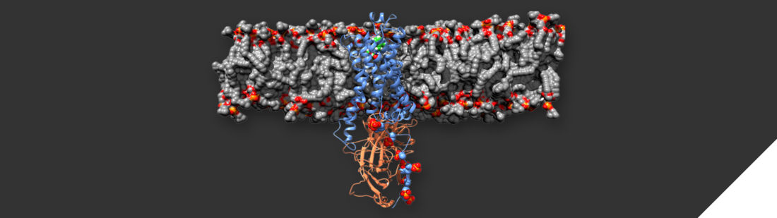 Application Areas – MATH+
