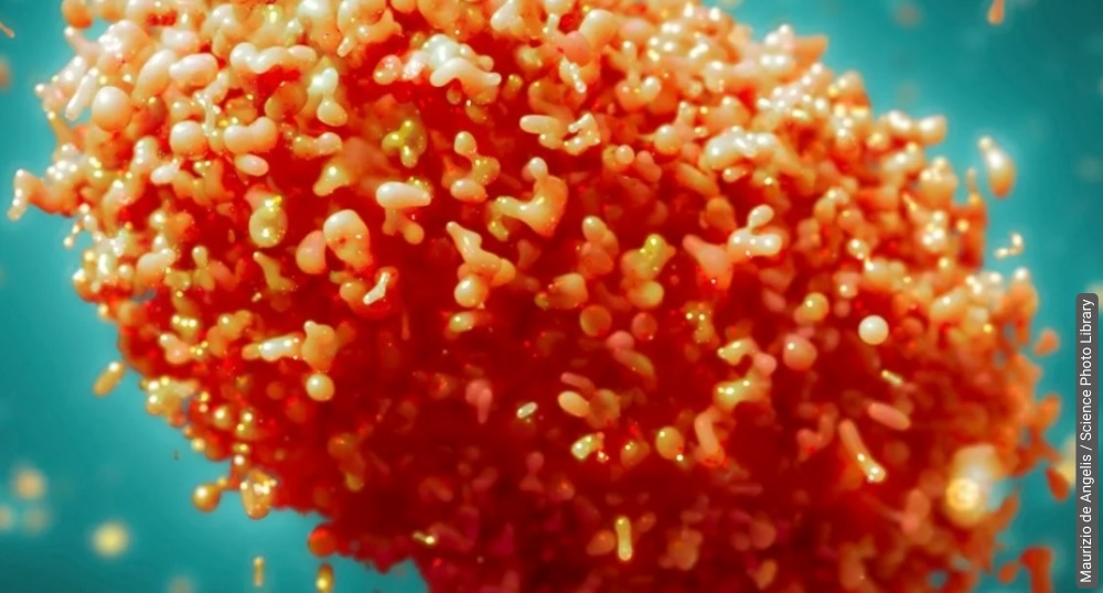 MATH+ Scientists on the Containment of the Mpox Epidemic in Berlin – MATH+